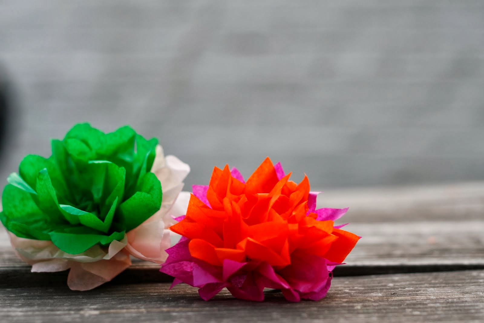 Paper Flowers – Jennifer Torres